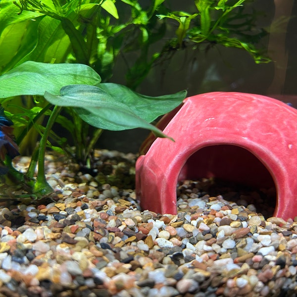 Small Fish Hide MADE TO ORDER - Betta Fish Cave - Small Aquarium Decor ...