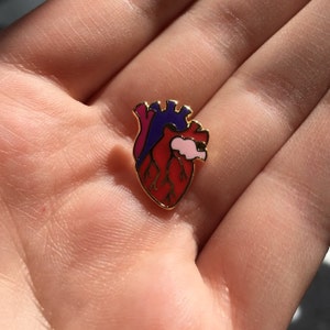 Anatomical Heart Mini Enamel Pin - Etsy