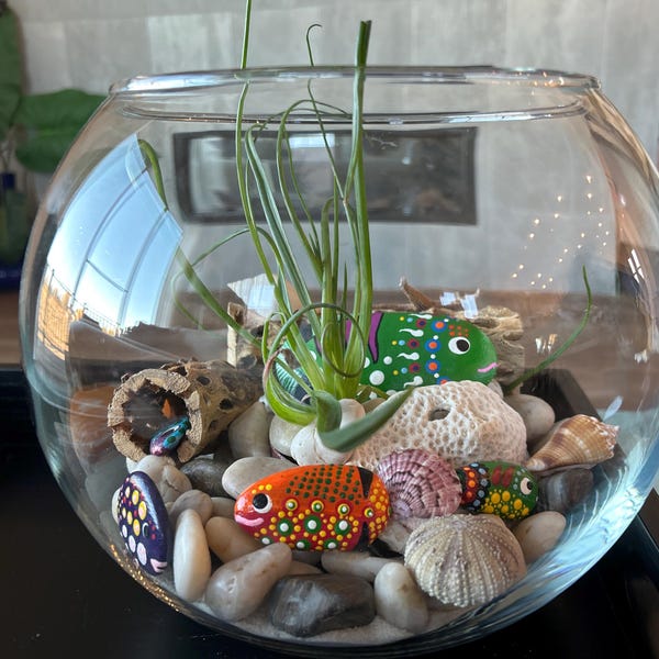 Cute Hand Painted Fish Rocks Set of 3 - Etsy