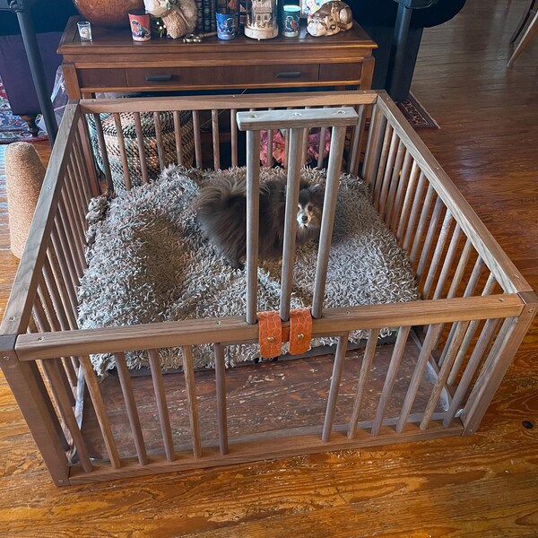 Gifts for Pets - Dog Window Perch - Elevated Dog Bed Furniture - Raised ...