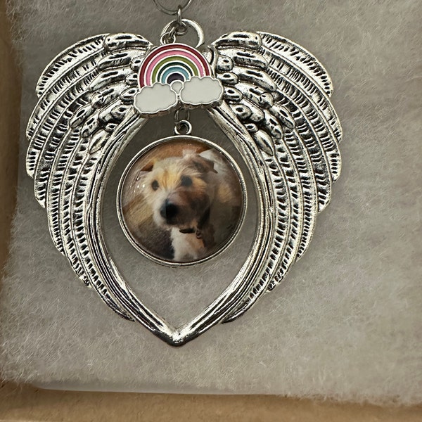 Rainbow Bridge Lock of Fur Necklace Pet Memorial Floating Locket ...