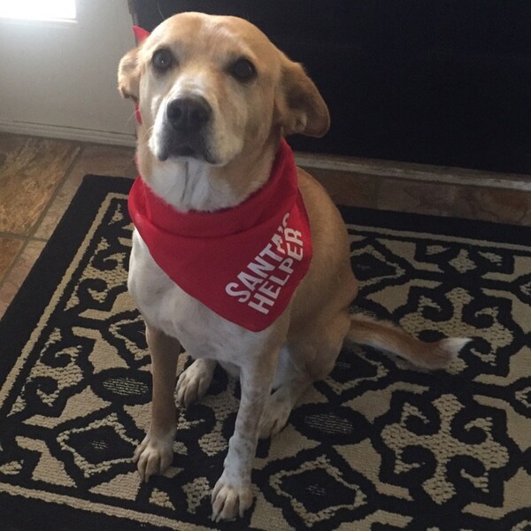 Forever, Forever, Ever, Forever, Ever Outkast DIGITAL DOWNLOAD 8x10 - Etsy