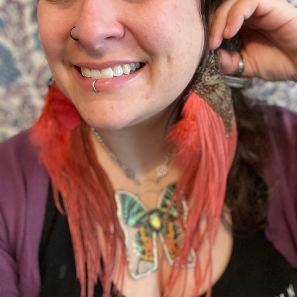 Taxidermy Bird Wings, Real Bird Wing, Chicken Wing, Partial Wing, 8 X 2 ...