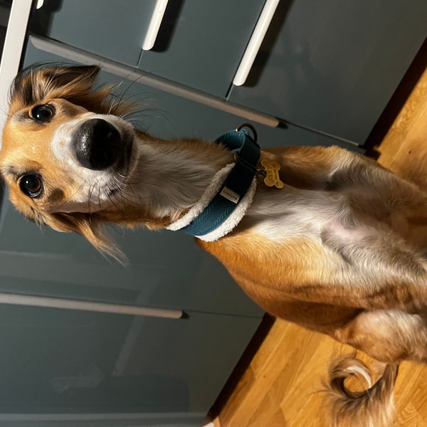 FLUFF || Fluffy Lining / Colour Change - Etsy