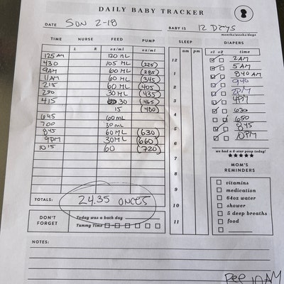 Printable Baby Milestone Chart Tracker DIY Baby Tracking Log Book Feed ...