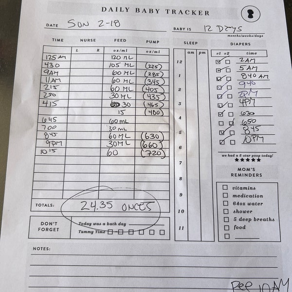 Printable Baby Milestone Chart Tracker | DIY Baby Tracking Log Book ...