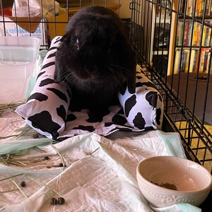 Bunny Snug Bed - Etsy