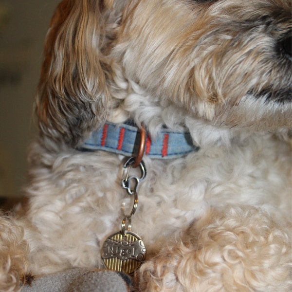 Dog ID Tags-the Mini Winston- Small Pet Id Tag for Small Dogs and Cats ...