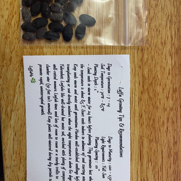 35+ Organic Loofah Seeds | Luffa | Edible Squash | Sponge Harvest | Non ...