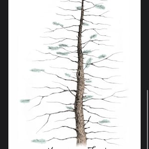 Wedding Guest Book Alternative Double Pine Two Pines Rustic Guestbook ...