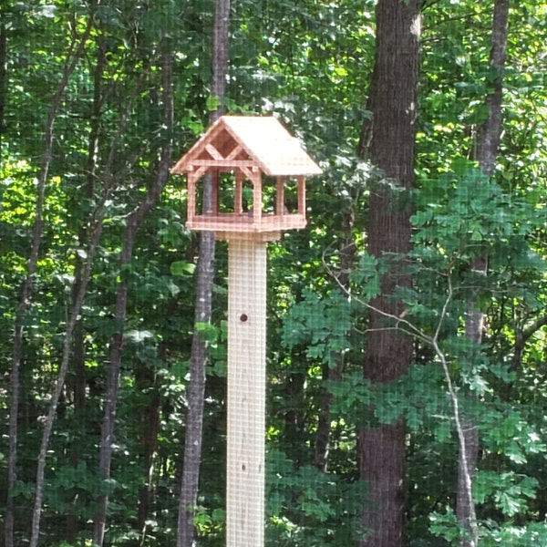 The Forest Feeder, Covered Shelter Style Bird Feeder With Decorative ...