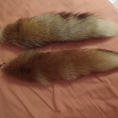 Marten Pelt, Marten Skin, Marten Hide, Marten Fur, Real Fur, Marten Fur ...