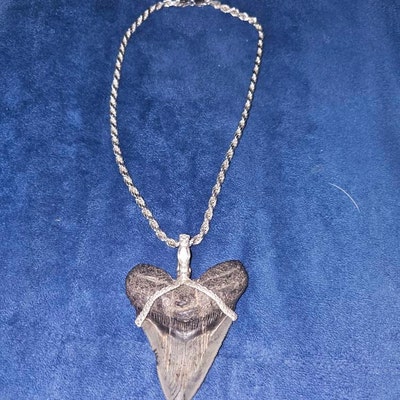 Big Megalodon Shark Tooth Fossil Necklace Pendant Wire Wrapped in ...