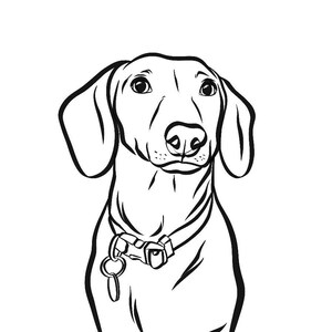 Sheltie Side View Outline SVG/ Minimalist Dog Profile Line Art/ Sheltie ...