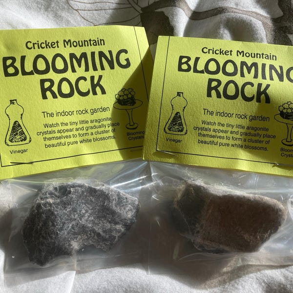 2 Pack BLOOMING ROCK Grow Your Own Crystals Kits - Etsy