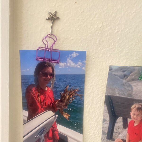 Sea Life Push Pins (15 Pc Set) | Decorative Gold Starfish Seashell ...