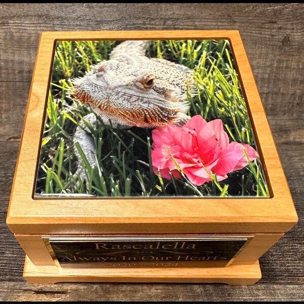 Trash Talker Trophy Award Galvanized Garbage Can Take Out the Trash ...