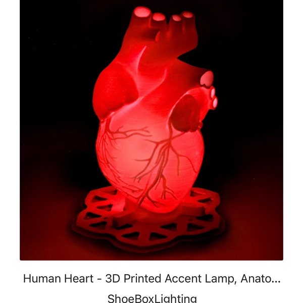 Human Heart - 3D Printed Accent Lamp, Anatomical, Table Lamp, Novelty ...