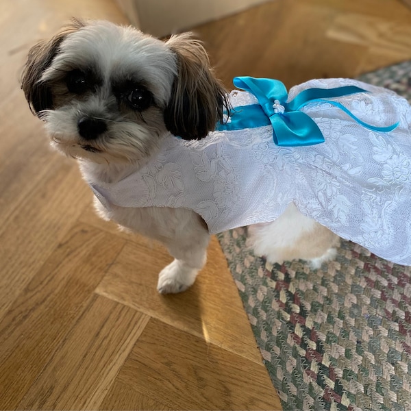 Designer Dog White Wedding Dress, Puppy Dog Dress, Custom Made Dog ...