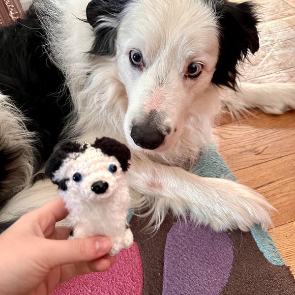 Crochet Pocket Pets Pattern, 6 in 1 PDF Pattern Bundle, Amigurumi ...