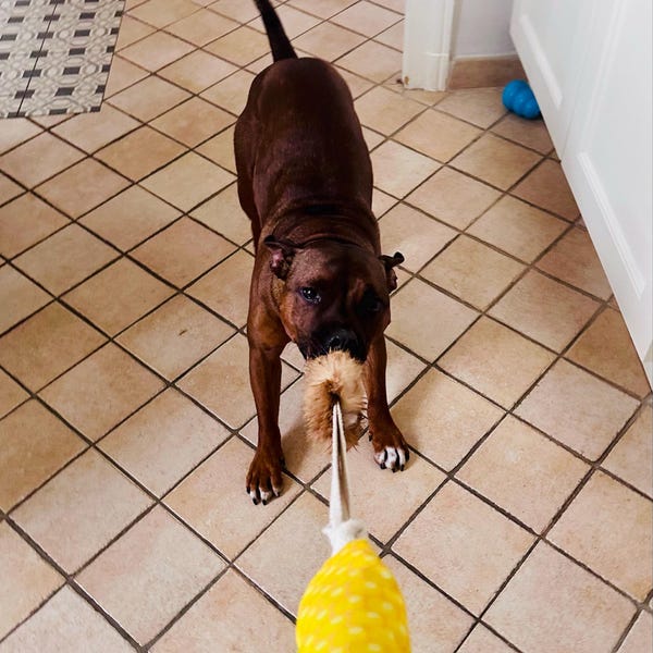 Hemp Fabric and Feathers Cat Kicker Toy With Catnip by Your Choice ...