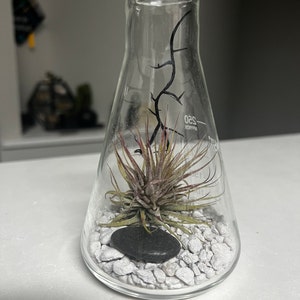 Science Themed Bar Glassware Set With Gift Box, Chemistry Glassware Set ...