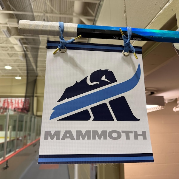Magnetic Hockey Stick Banner for Locker Rooms - Etsy