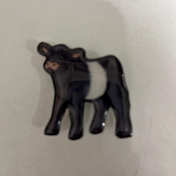 Red Panda Magnet: Gift for Red Panda Lovers Chinese Animal Cute Animal ...