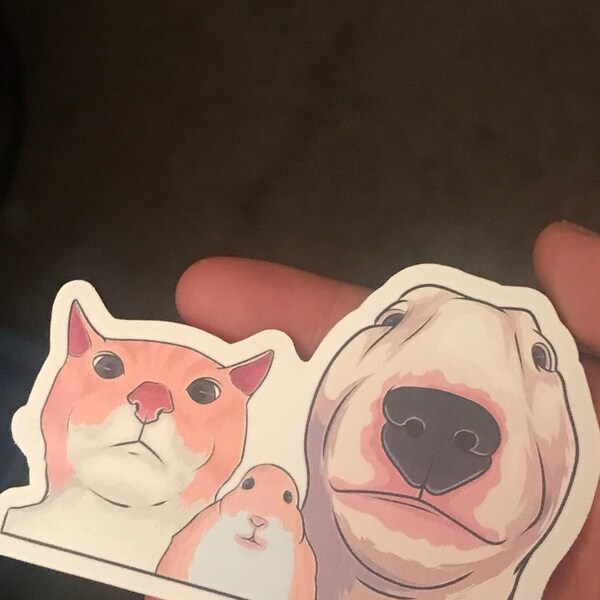 Born to Dilly Dally Forced to Lock in T-shirt, Cat Meme Shirt, Silly ...