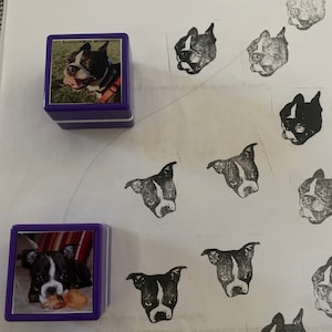 Custom Pet Stamp Self Inking-cat Dog Portrait Pre Inked Stamp ...
