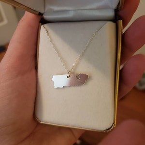 Cockroach Necklace Cockroach Jewelry Cockroach Gift | Etsy