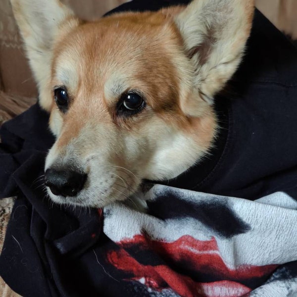 FISHBONE VINTAGE M65 Field Jacket Military Style Mens Size 2XL - Etsy