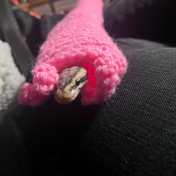 Shark Snake Sweater | Halloween Costume | Crocheted Snake Sweater ...