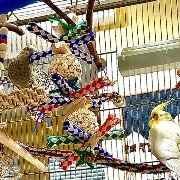 Small Bird Foraging Bird Toy Made With Soft Sola Wood. Cockatiels and ...