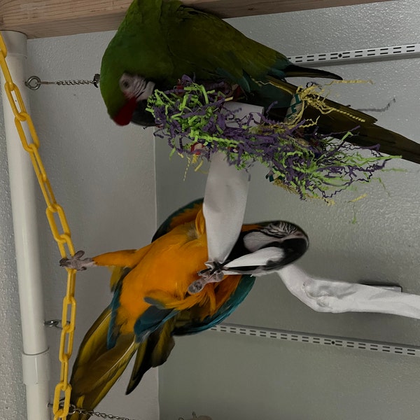 LARGE Parrot TOY ** FIRECRACKER ** Perfect for Pluckers and Foragers - Etsy