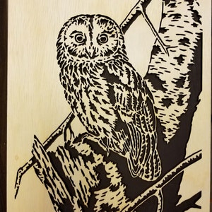 C46-Dragonfly Scroll saw pattern pdf dxf svg eps | Etsy