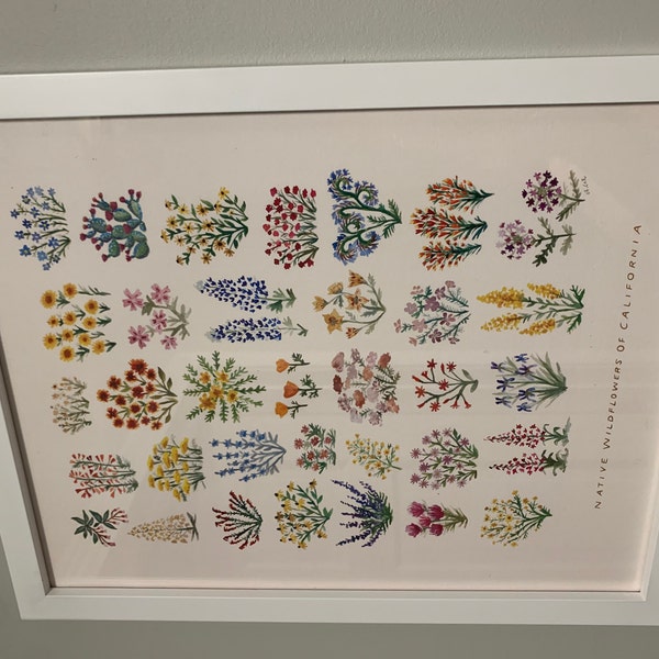 California Native Wildflowers Art Print Painting Wall Decor - Etsy