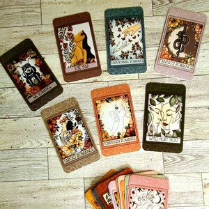 Choose Your Fate Vol. III / Reader Trope Tarot Cards / Age Gap - Etsy