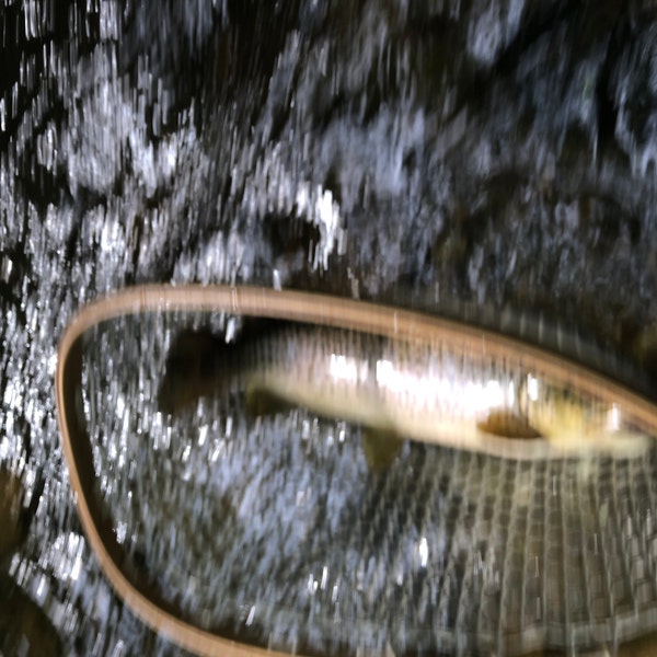 3x White Angel Streamer - Etsy