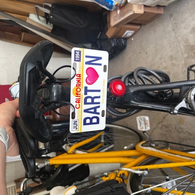 Team Boy Team Girl Gender Reveal Button Pin Backs 1 Set 12 - Etsy