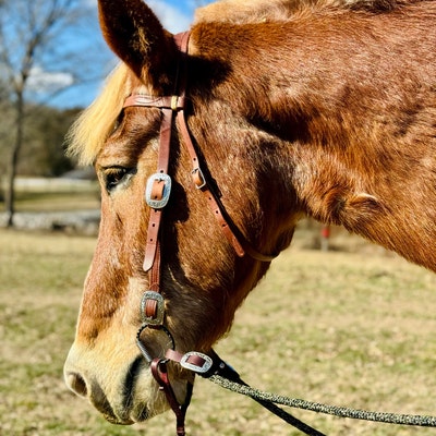 Yacht Rope Sport Mecate Reins W Poppers Use With Slobber Straps Snaffle ...