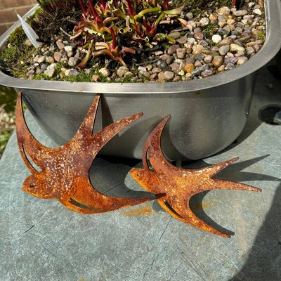 Metal Wren Rusty Garden Bird Art Decor Fence Topper Pergola Allotment ...