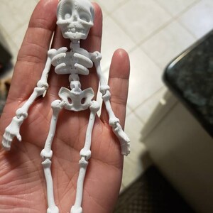 MINI Skeleton 3d Printed Articulated Flexible Custom - Etsy