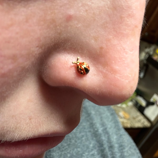 316L Surgical Steel or Gold Plated, Nose Ring, Stud, Screw, L Bend or ...