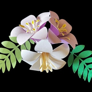 SVG/DXF/PNG Paper Flower Template Lily Tutorial - Etsy