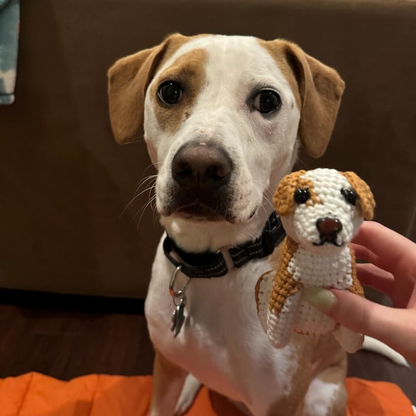 Custom Stuffed Dog, Custom Stuffed Animal, Custom Dog Plush, Custom Pet ...