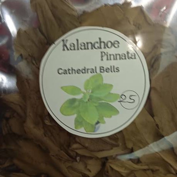 2000+ Indian Bael Leaves, Dried Bilva Leaves, Dried Bel Patra,dried ...