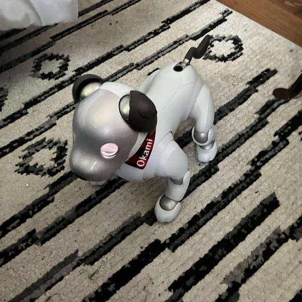 Vinyl Aibo ERS-1000 Head Decal Stickers - Etsy