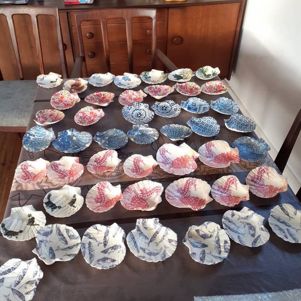 Natural Scallop Shells | Cleaned & Ready for Use | Available in Medium ...