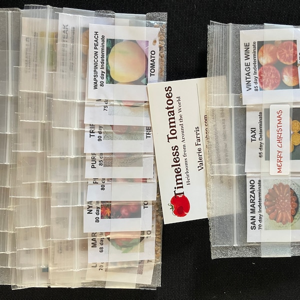 Heirloom Tomato- Trip-l-crop- Italian Tree Tomato- 90 Day MONSTER ...